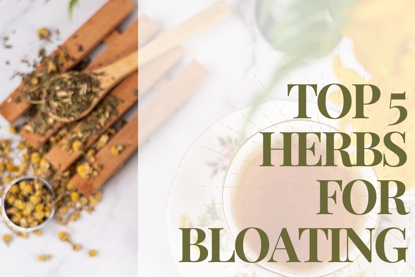 Top 5 Herbs For Bloating Full Leaf Tea Cos Ranking List Full Leaf Tea Company