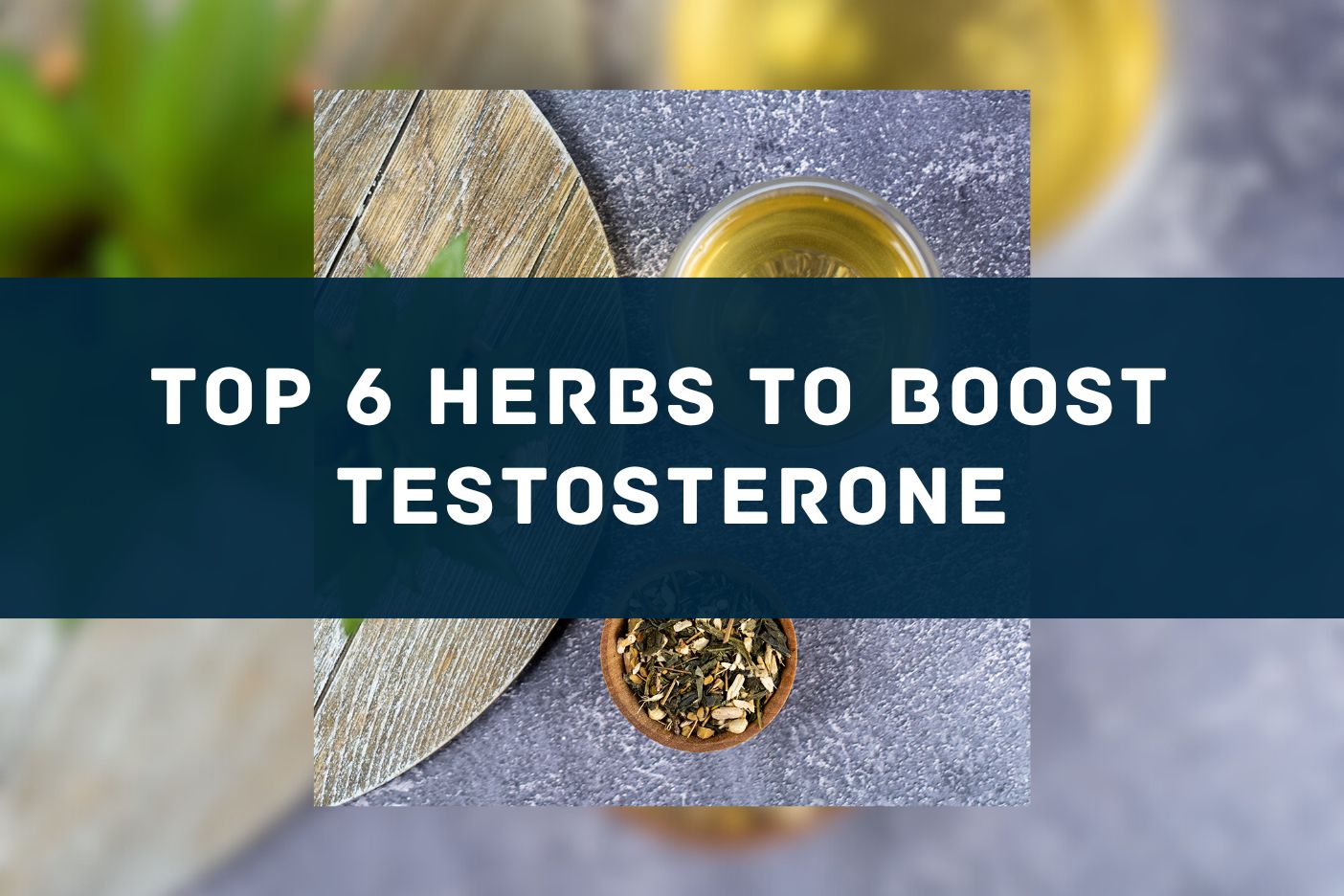 Top 6 Herbs To Boost Testosterone Full Leaf Tea Cos Top 6 Full Leaf Tea Company
