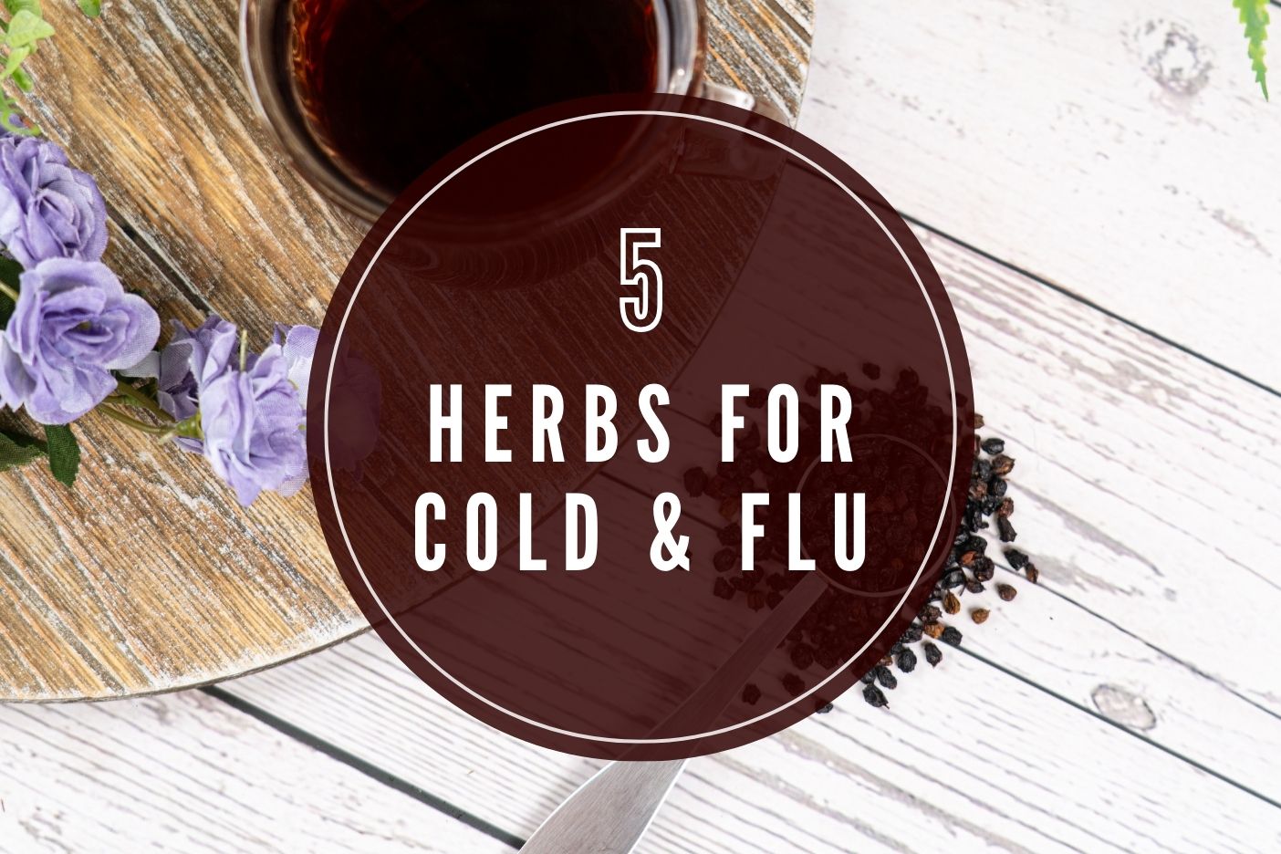 5 Herbs for Cold and Flu: Natural Remedies to Boost Immunity and ...
