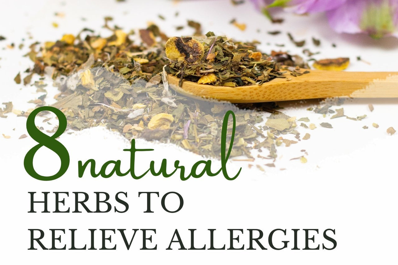 Organic Allergy Relief 🌼 | Tea of the Week – Full Leaf Tea Company