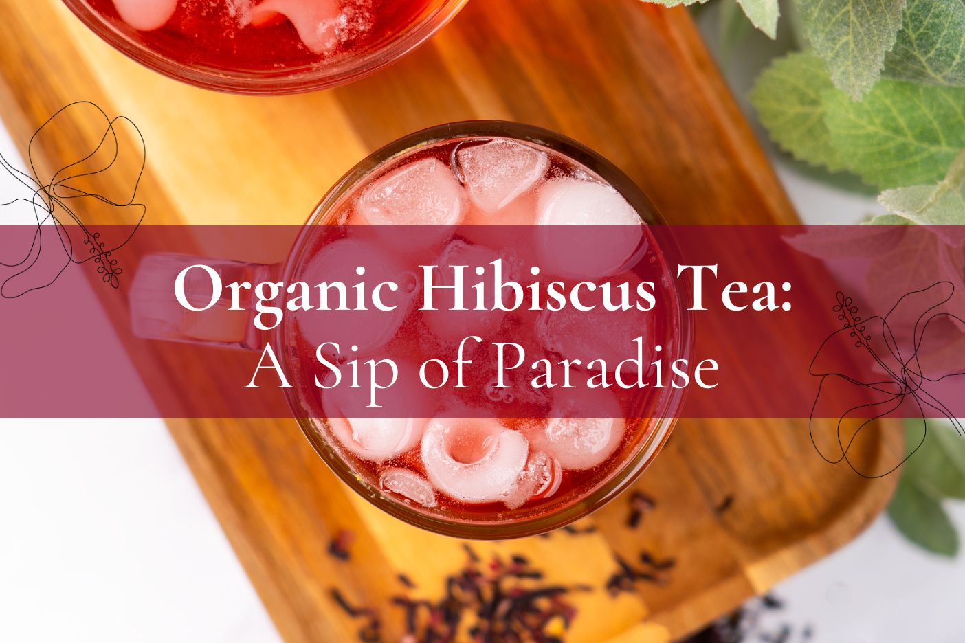 Organic Hibiscus Tea: A Sip of Paradise 🌺 – Full Leaf Tea Company