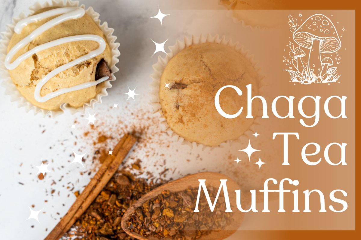Chaga Mushroom Tea Muffins | Chocolate Chip Cinnamon Muffins – Full ...