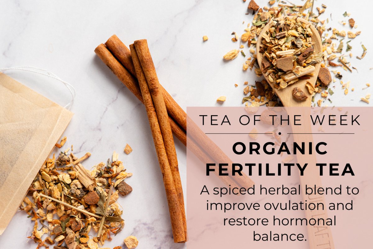 Organic Fertility Tea | Loose Leaf Tea of the Week – Full Leaf Tea Company