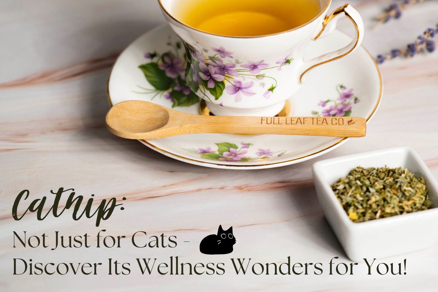 Catnip: Not Just for Cats 🐱 Discover Its Wellness Wonders! – Full Leaf ...