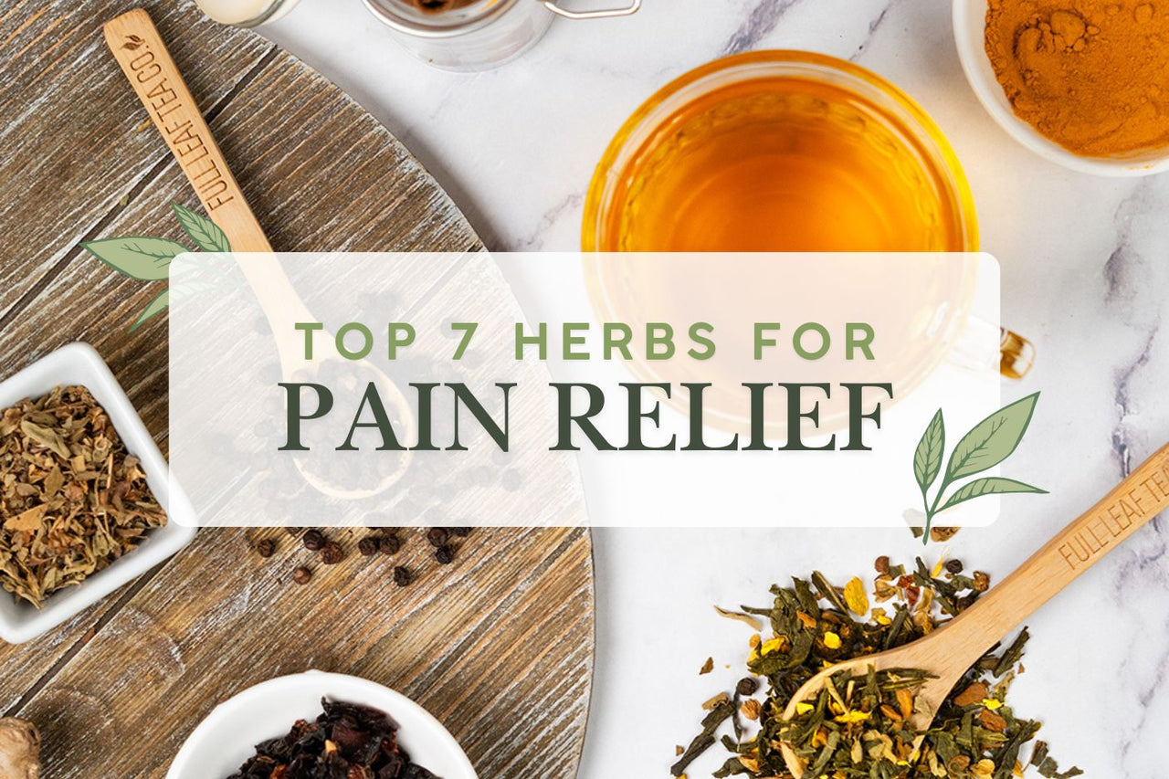 Top 7 Herbs for Pain Relief | Loose Leaf Wellness Teas – Full Leaf Tea ...