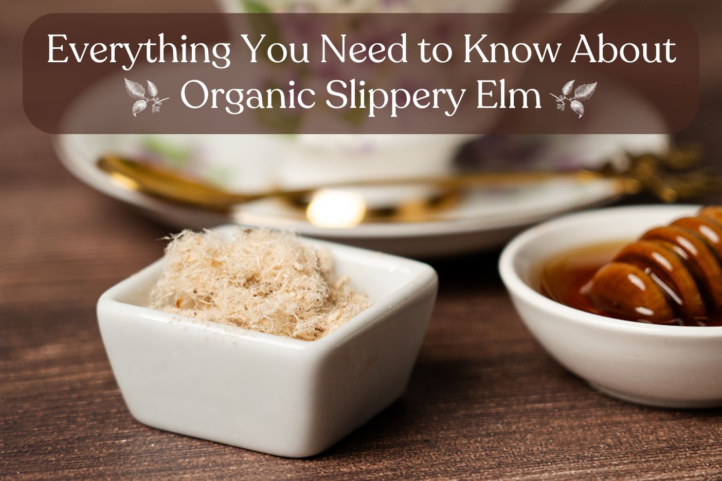 Everything You Need to Know About Organic Slippery Elm – Full Leaf Tea ...
