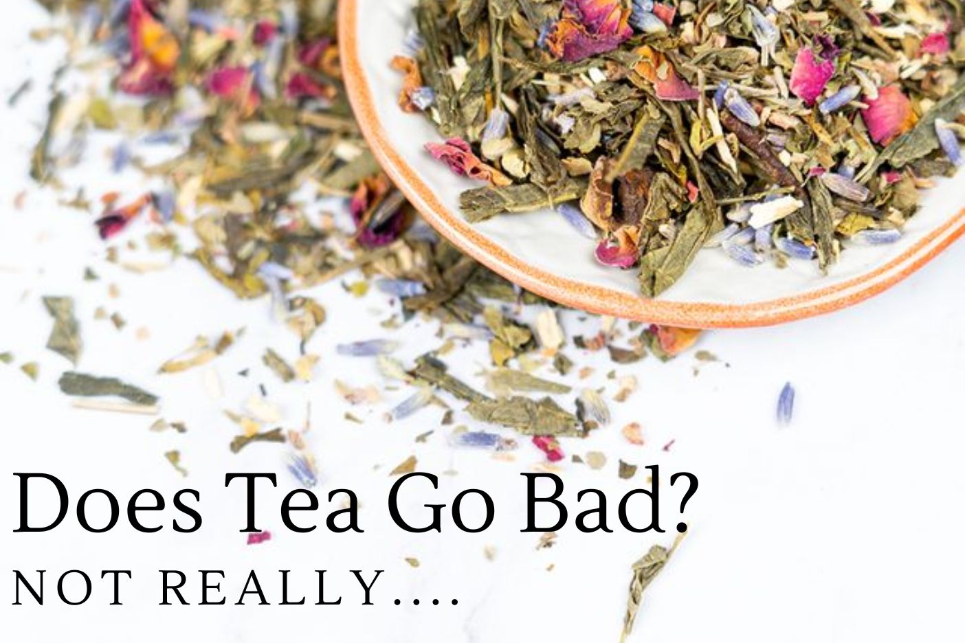 Does Tea Go Bad? Not Really...| A Beginner's Guide – Full Leaf Tea Company
