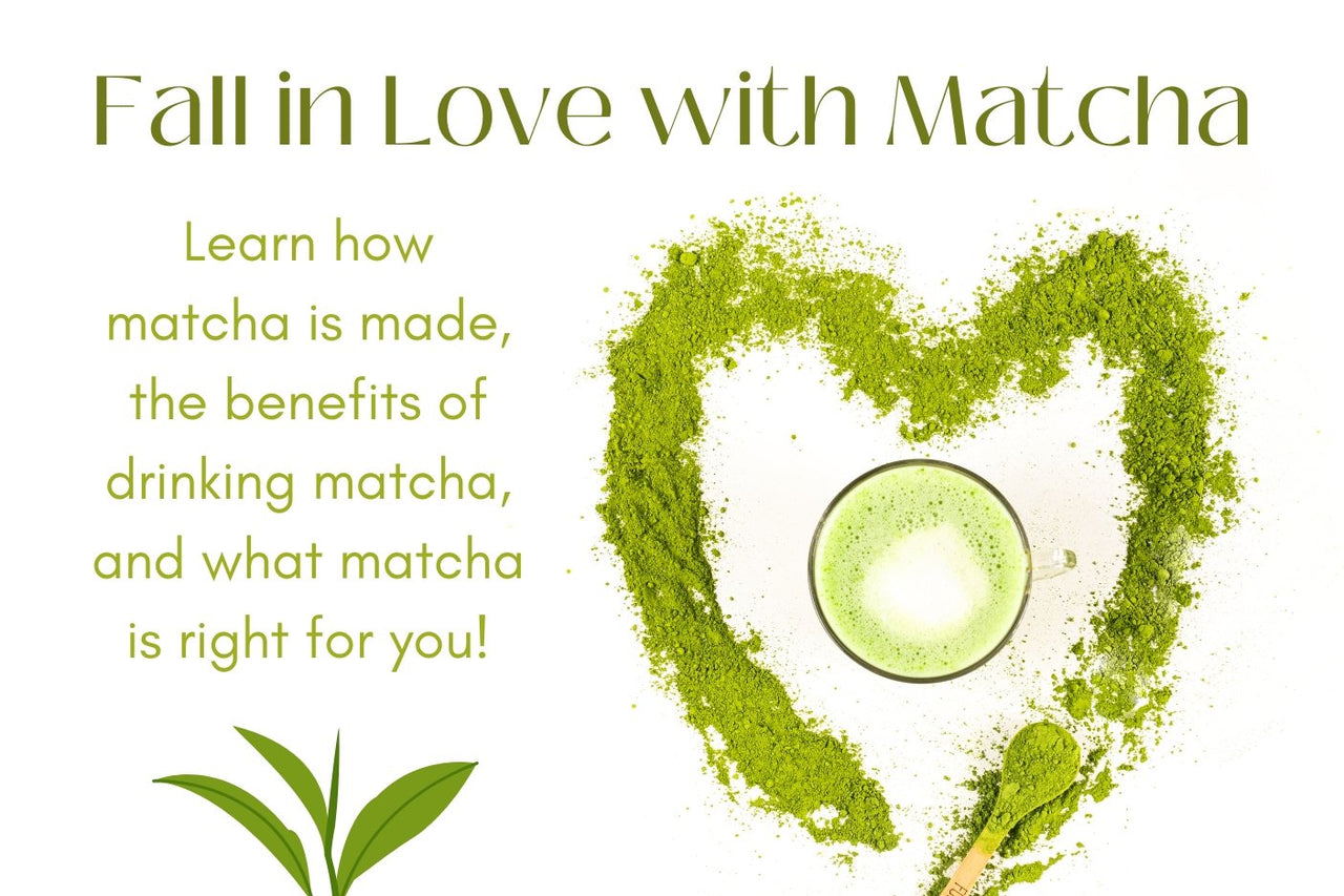Fall in Love with Matcha 💚 – Full Leaf Tea Company