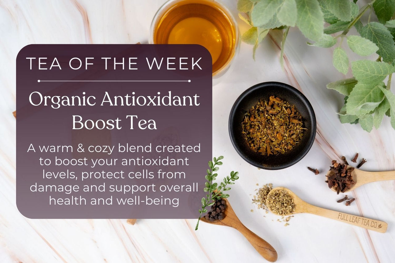 Organic Antioxidant Boost Tea | Tea of the Week – Full Leaf Tea Company