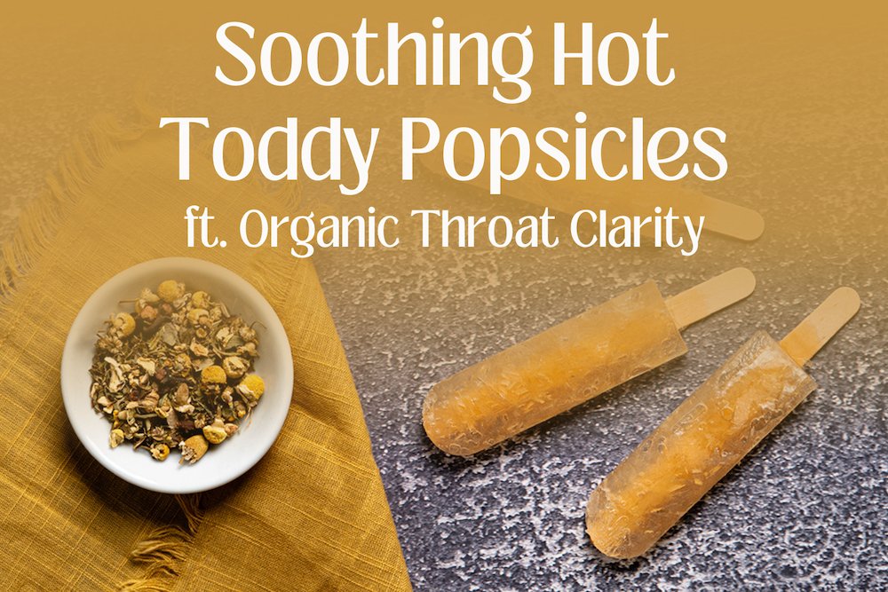 Soothing Hot Toddy Popsicles - Made with Organic Throat CLarity Tea ...