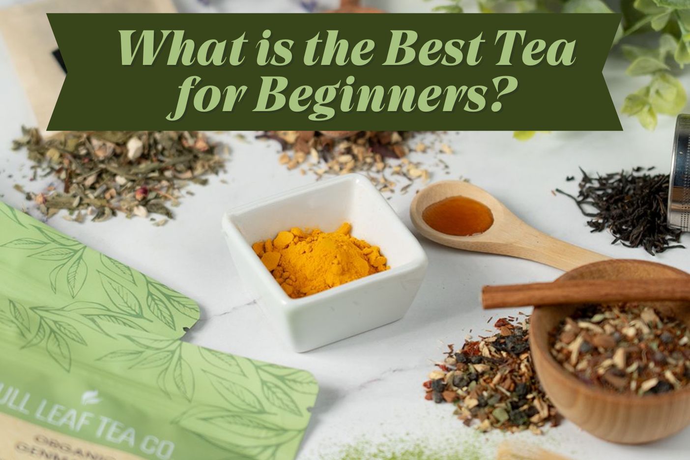 What is the Best Tea for Beginners?: A Beginners Guide – Full Leaf Tea ...