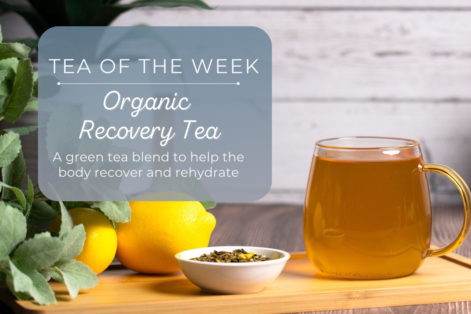 Organic Recovery Tea | Tea of the Week – Full Leaf Tea Company