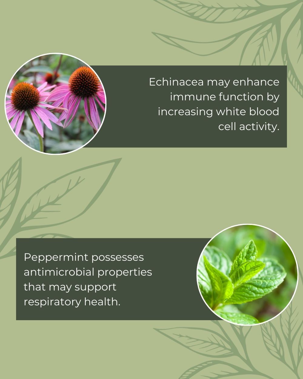 Herbal Remedies with Loose Leaf Tea – Full Leaf Tea Company