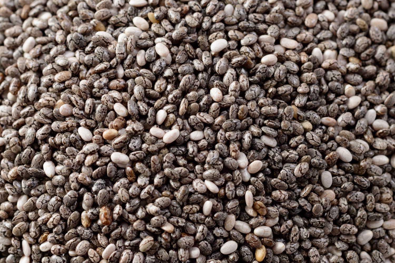 What is Chia Seed Tea? - History, Benefits, and More – Full Leaf Tea ...