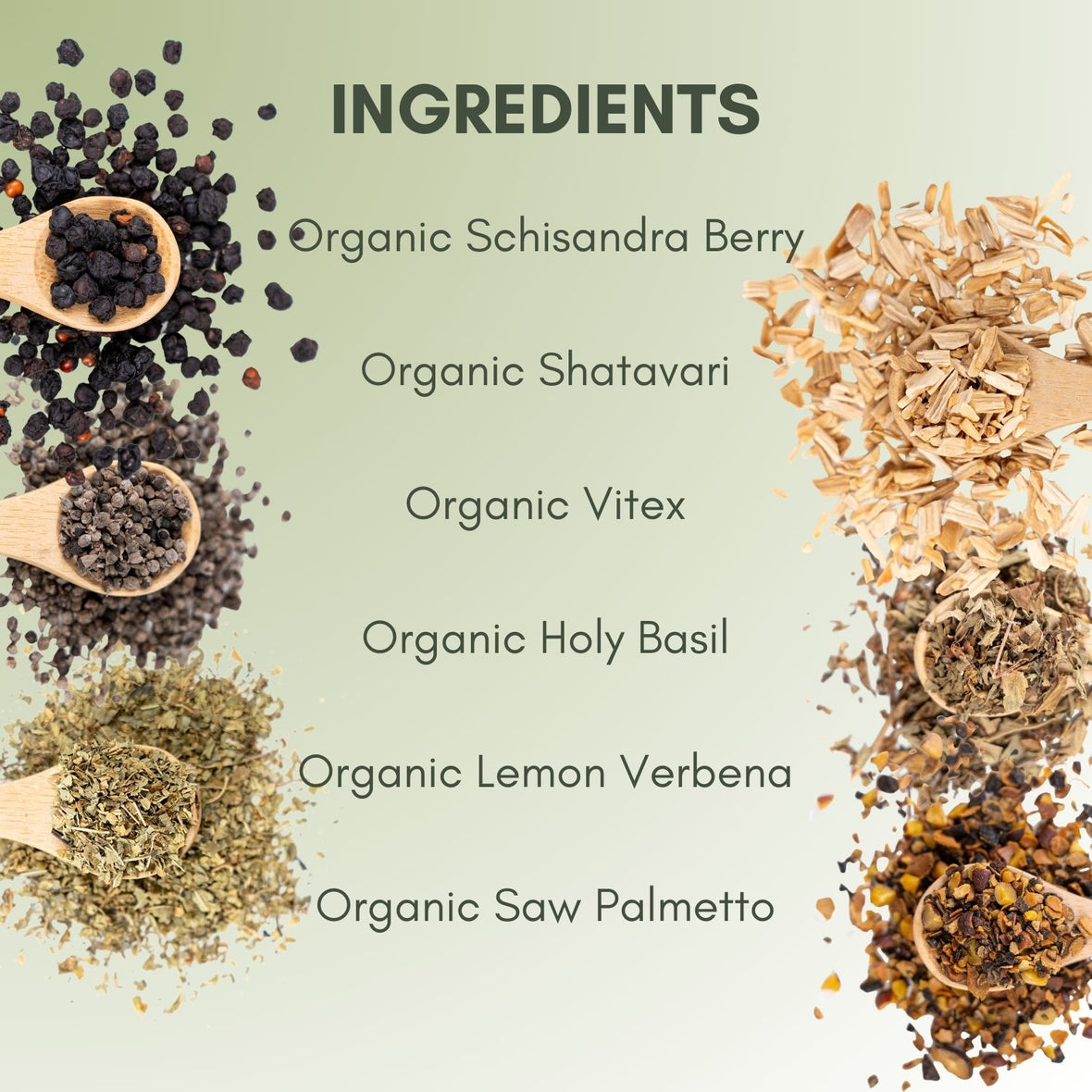 Organic Cycle Support Loose Leaf Tea | Full Leaf Tea Company