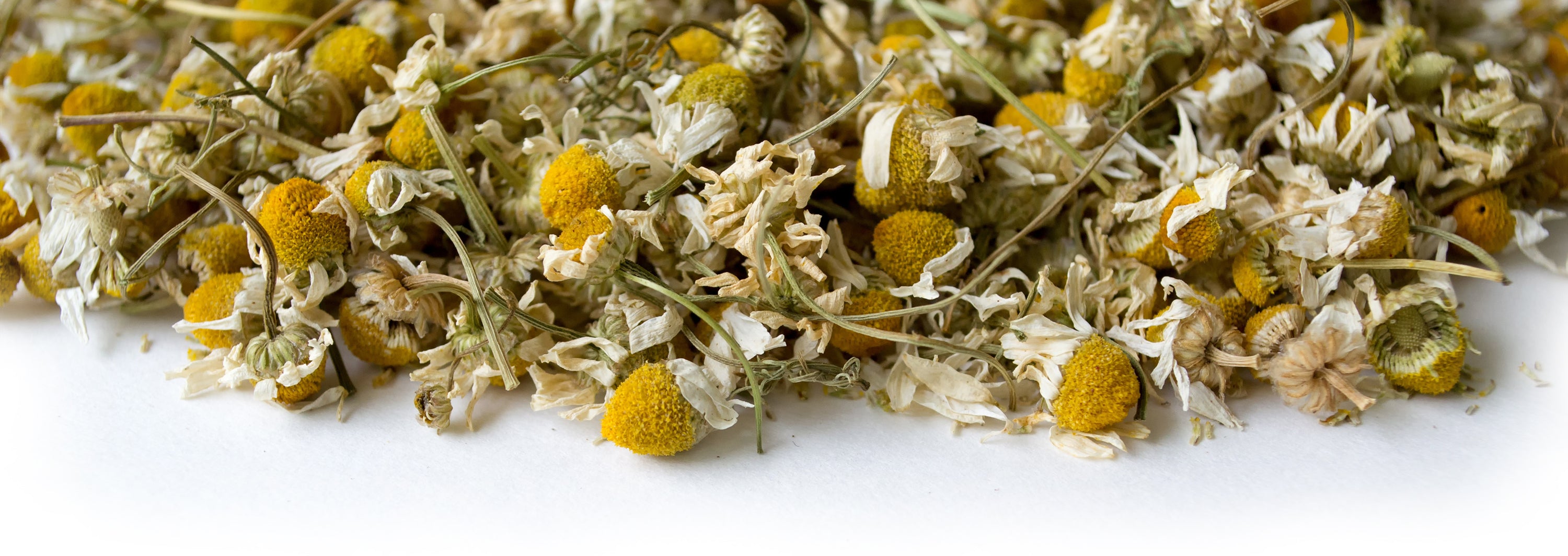 Beginners guide to loose leaf tea – Full Leaf Tea Company
